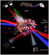 Core–shell particles for drug-delivery, bioimaging, sensing, and tissue ...