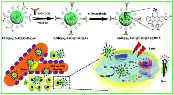 Tumor-targeting multi-shelled hollow nanospheres as drug loading ...