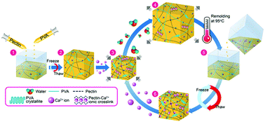 Tough hydrogel module towards an implantable remote and controlled ...