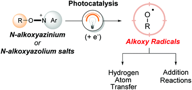 Alkoxy radicals generation: facile photocatalytic reduction of N ...