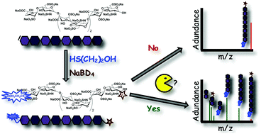 Nabd4 Mechanism