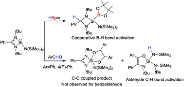 Silylene induced cooperative B–H bond activation and unprecedented ...