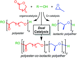 Dual catalysis for the copolymerisation of epoxides and lactones ...