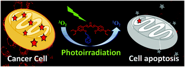 Traceable cancer cell photoablation with a new mitochondria-responsive ...