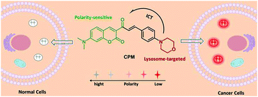 A lysosome-targeting and polarity-specific fluorescent probe for cancer ...