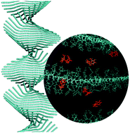PBLG as a versatile liquid crystalline medium for anisotropic NMR data ...