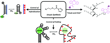 Simple alkanoyl acylating agents for reversible RNA functionalization ...