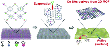2D MOF induced accessible and exclusive Co single sites for an ...