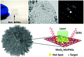 Metallic and plasmonic MoO2 monocrystalline ultrathin mesoporous ...
