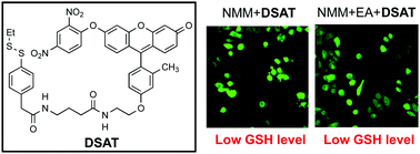 Fluorescence detection of glutathione S-transferases in a low GSH level ...