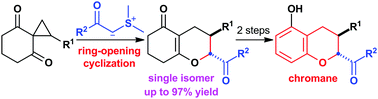 Ring-opening cyclization of spirocyclopropanes with stabilized ...