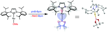 Synthesis and reactivity of [Au(NHC)(Bpin)] complexes - Chemical ...