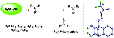 One-pot synthesis of trifluoromethyl amines and perfluoroalkyl amines ...
