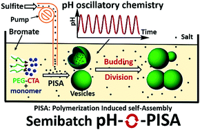 Evolving polymersomes autonomously generated in and regulated by a ...