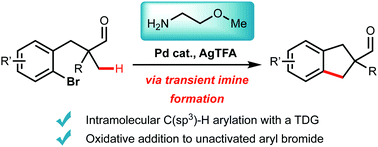 Intramolecular palladium(ii)/(iv) catalysed C(sp3)–H arylation of ...