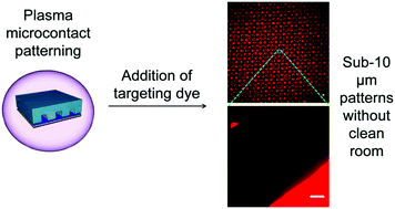 Covalently bound monolayer patterns obtained by plasma etching on glass ...