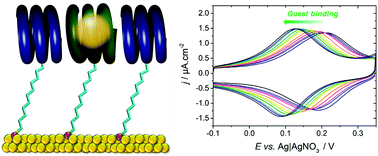 Supramolecular chemistry of helical foldamers at the solid–liquid ...