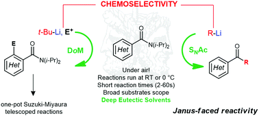 Directed ortho-metalation–nucleophilic acyl substitution strategies in ...