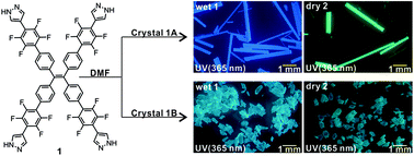 Solvation-dependent switching of solid-state luminescence of a ...