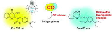 CO release with ratiometric fluorescence changes: a promising visible ...