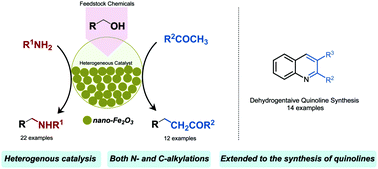 A nanoscale iron catalyst for heterogeneous direct N- and C-alkylations ...