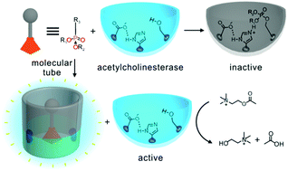 Molecular recognition of organophosphorus compounds in water and ...