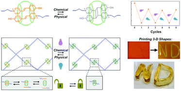 Reversible hydrogel dynamics by physical–chemical crosslink ...