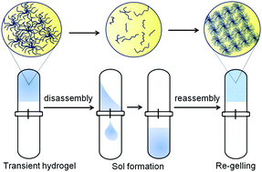 Gel to gel transitions by dynamic self-assembly - Chemical ...