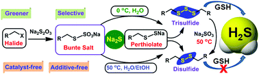 Trisulfides over disulfides: highly selective synthetic strategies ...