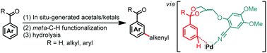 Chelation-directed remote meta-C–H functionalization of aromatic ...