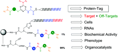 Beyond protein binding: recent advances in screening DNA-encoded ...