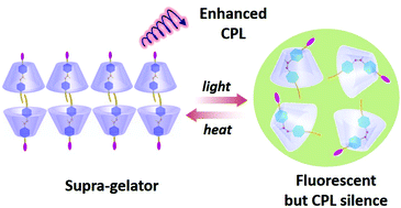 Host–guest interaction enabled chiroptical photo-switching and enhanced ...