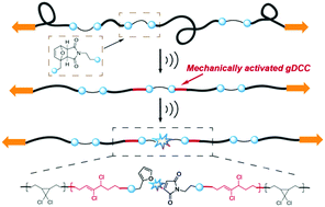 Stereochemical effects on the mechanochemical scission of furan ...