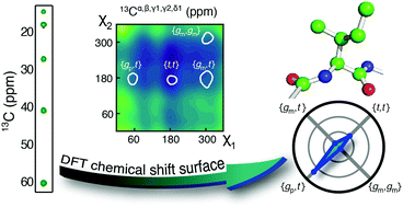 Determining isoleucine side-chain rotamer-sampling in proteins from 13C ...