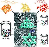 Porous functionalized MOF self-evolution promoting molecule ...