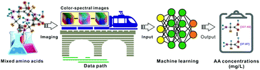 A color-spectral machine learning path for analysis of five mixed amino ...