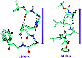 Structural insight into hybrid peptide ε-helices - Chemical ...