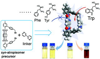 Atropisomer-based construction of macrocyclic hosts that selectively ...