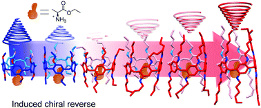Supramolecular enantiomeric and structural differentiation of amino ...
