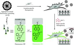 A general strategy to develop cell membrane fluorescent probes with ...