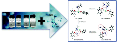 Chemical dual-site capture of NH3 by unprecedentedly low-viscosity deep ...