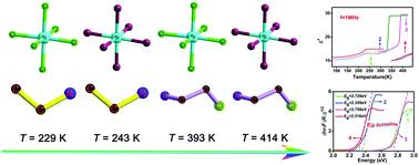 Halogen substitution regulates the phase transition temperature and ...