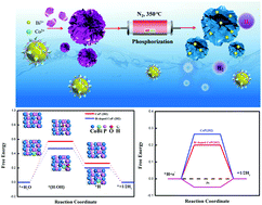 MOF-derived hierarchical 3D bi-doped CoP nanoflower eletrocatalyst for ...