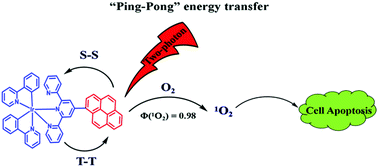 Smart use of “ping-pong” energy transfer to improve the two-photon ...