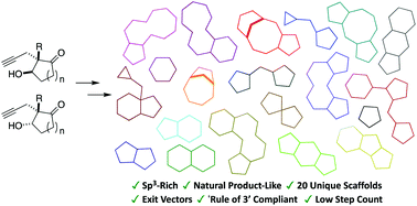 Fsp3-rich and diverse fragments inspired by natural products as a ...