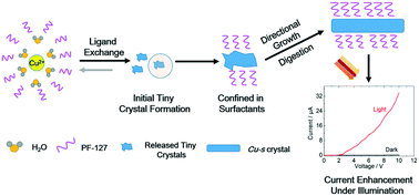 Surfactant-assisted synthesis of large Cu-BTC MOF single crystals and ...