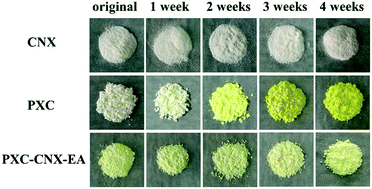 Piroxicam–clonixin drug–drug cocrystal solvates with enhanced hydration ...