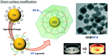 Direct surface modification of semiconductor quantum dots with metal ...