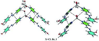 Solid-state supramolecular architectures of a series of Hg(ii) halide ...