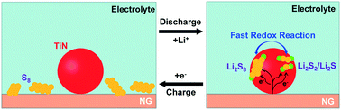 Reducing the shuttle effect with the interactions of polar TiN and non ...